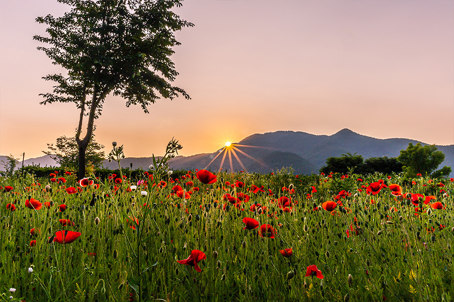 Photography Tips: Landscapes | Canon Canada