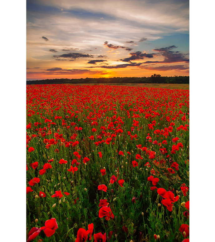 Photography Tips: Landscapes | Canon Canada