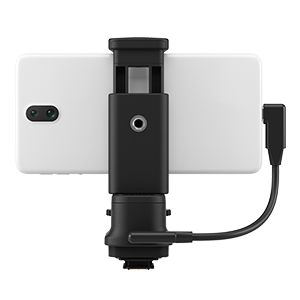 Canon EOS R3 | Mirrorless Camera