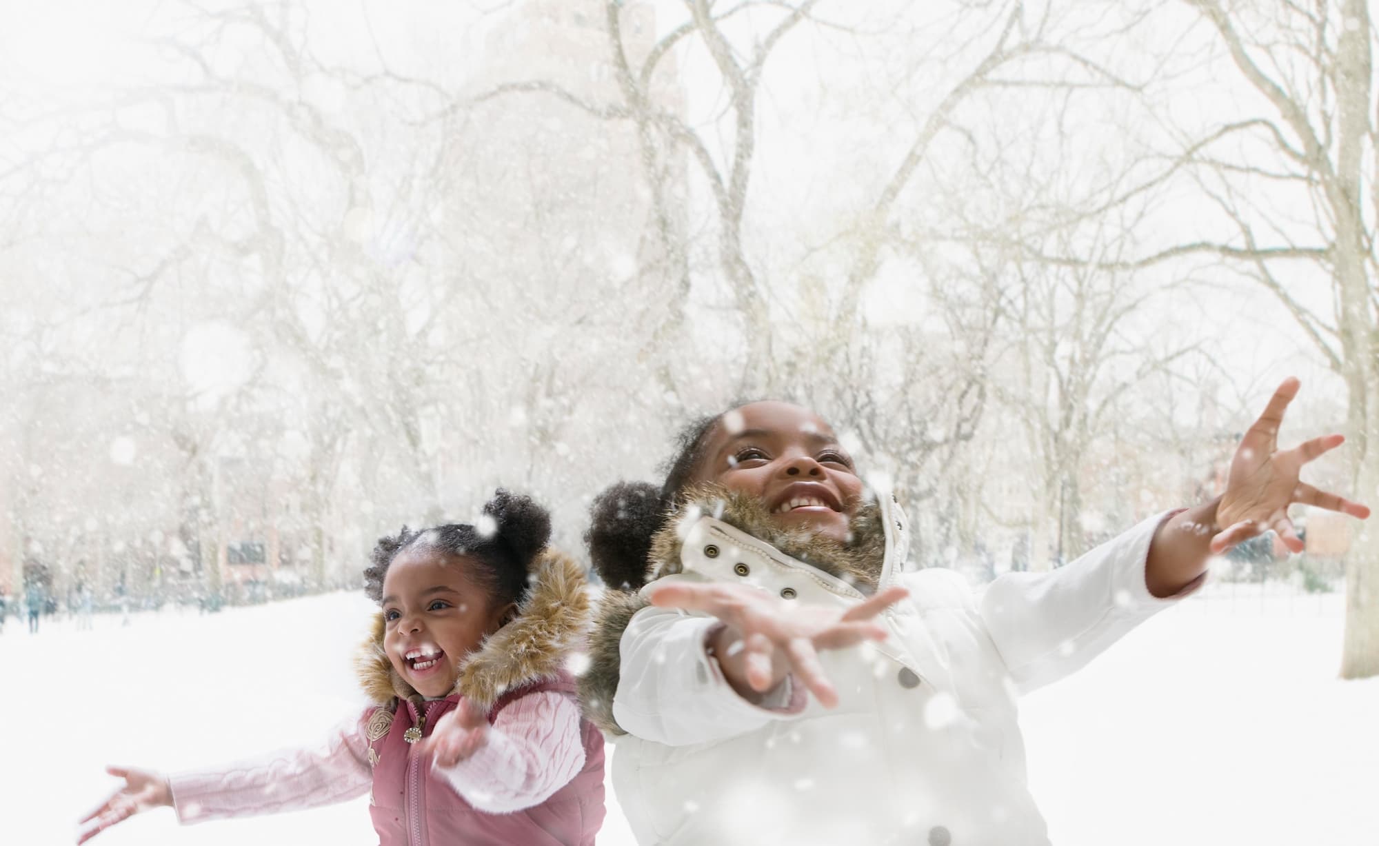 Six Ways to Improve Winter Photography