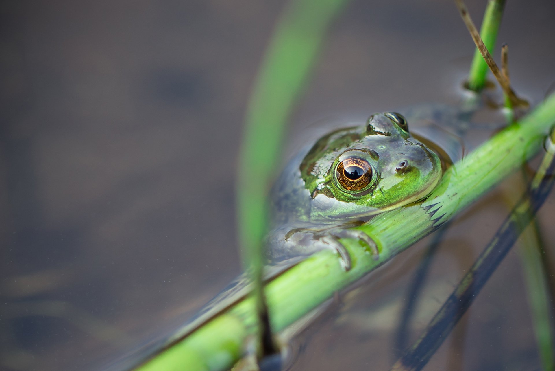 Corporate Social Responsibility | Canon Canada Inc.