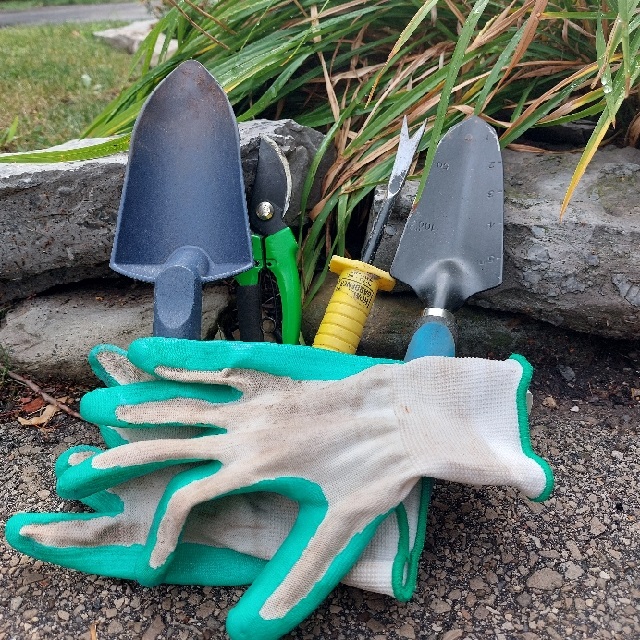 Annual Branch Out Program Connects Employees with Nature