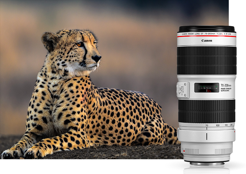 EF Lenses | Canon Canada Inc.