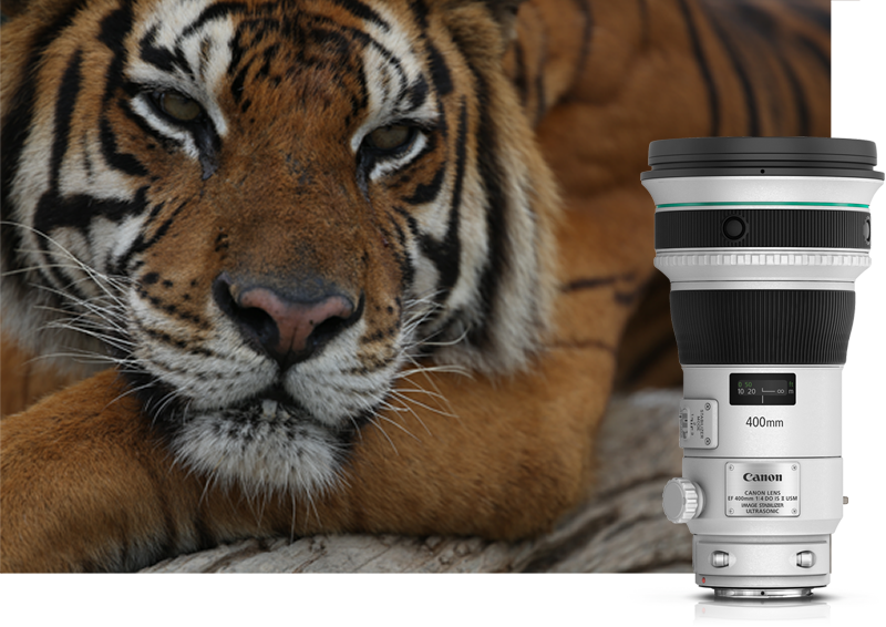 EF Lenses | Canon Canada Inc.